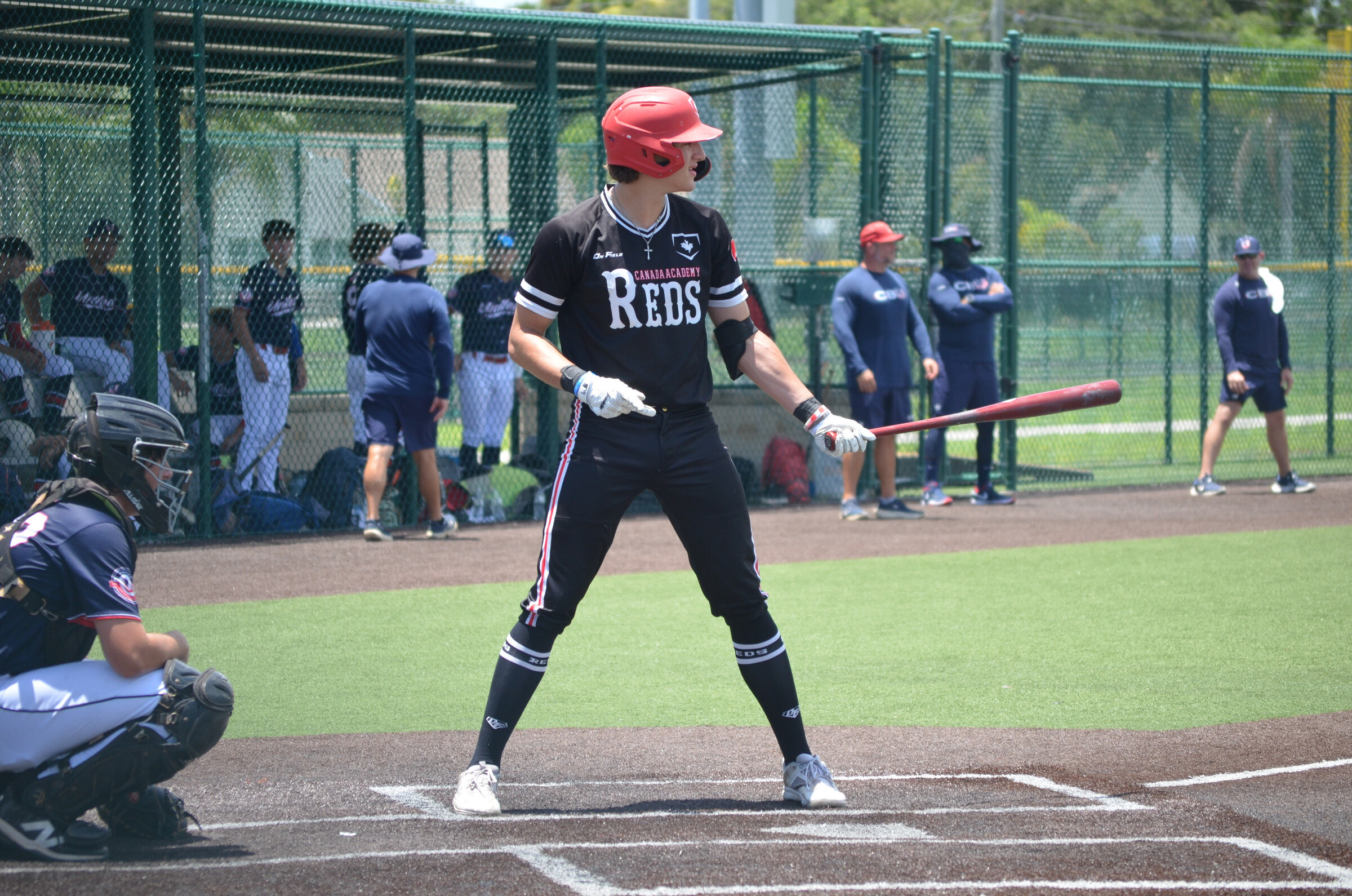 Nathan Roy: Puerto Rico verra «Reds» - Beauce Média