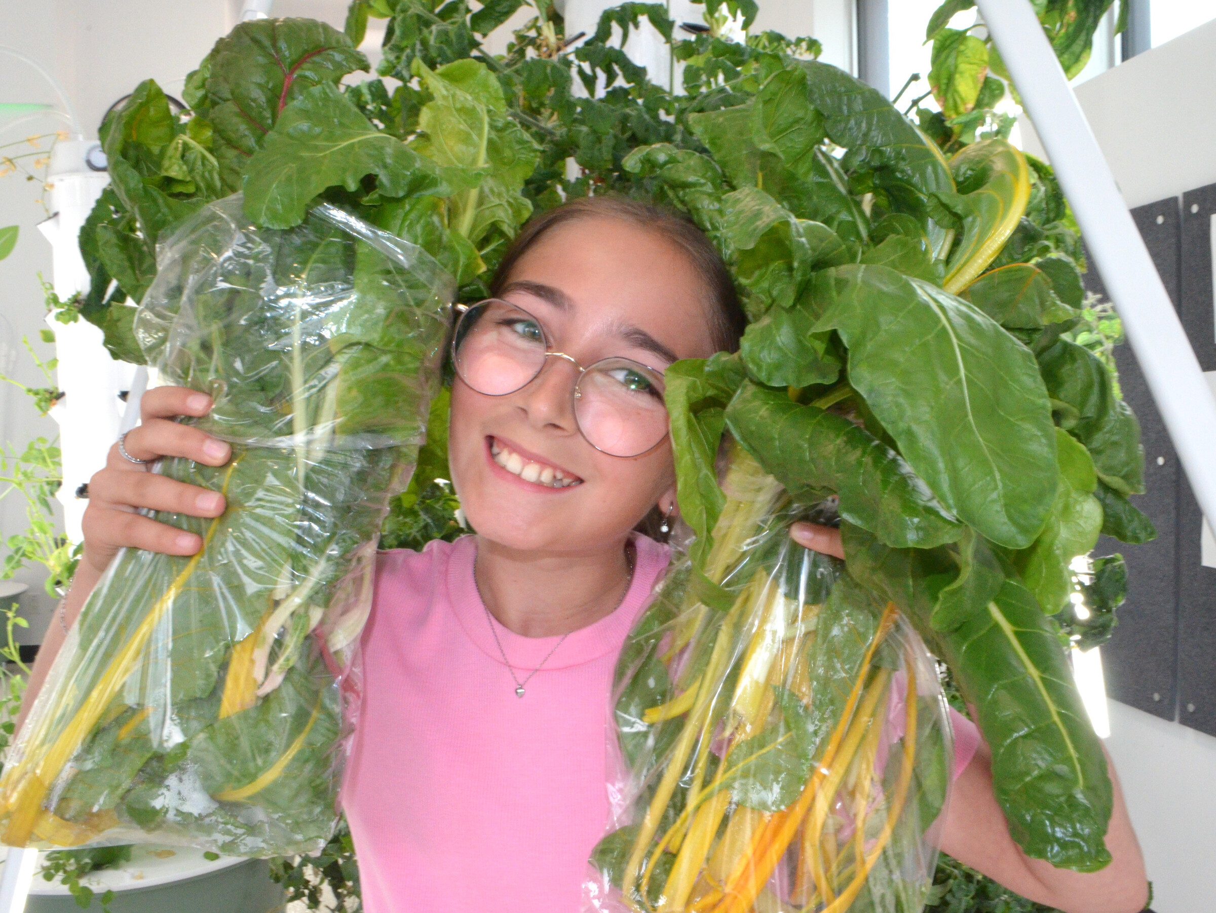 L'Espace Pousse Vert: les légumes ont porté fruit! - Beauce Média