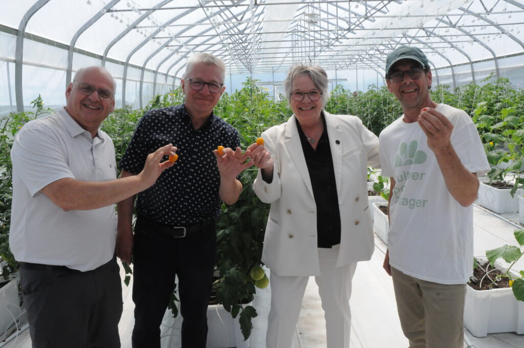 Cultiver pour partager : appui de 125 000 $ pour les serres de légumes ...