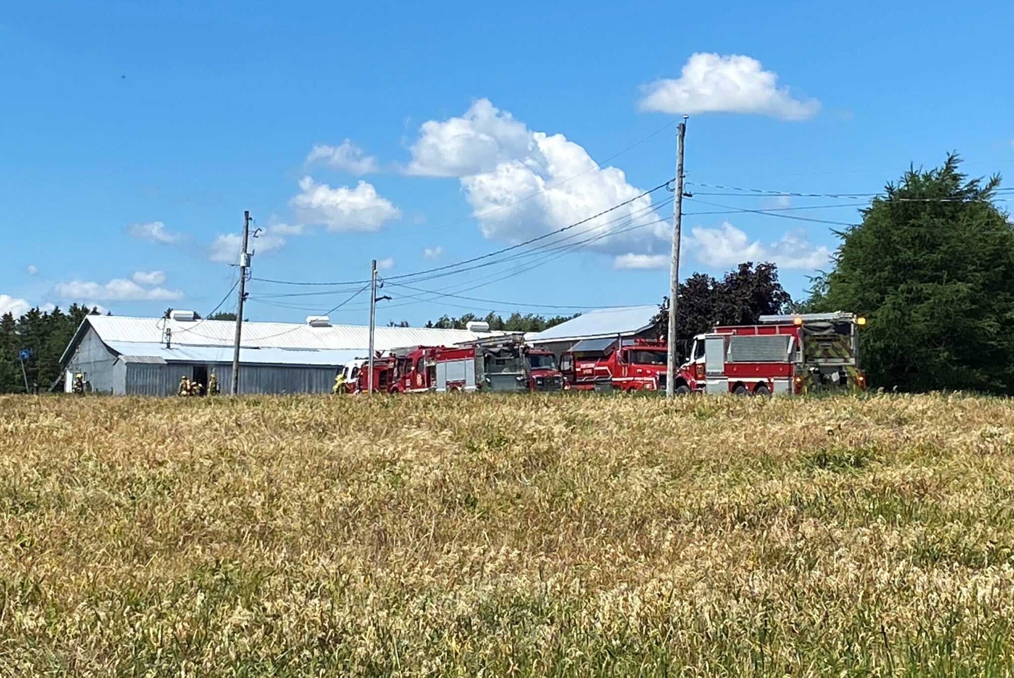 Incendie à la Ferme Faucon - Beauce Média